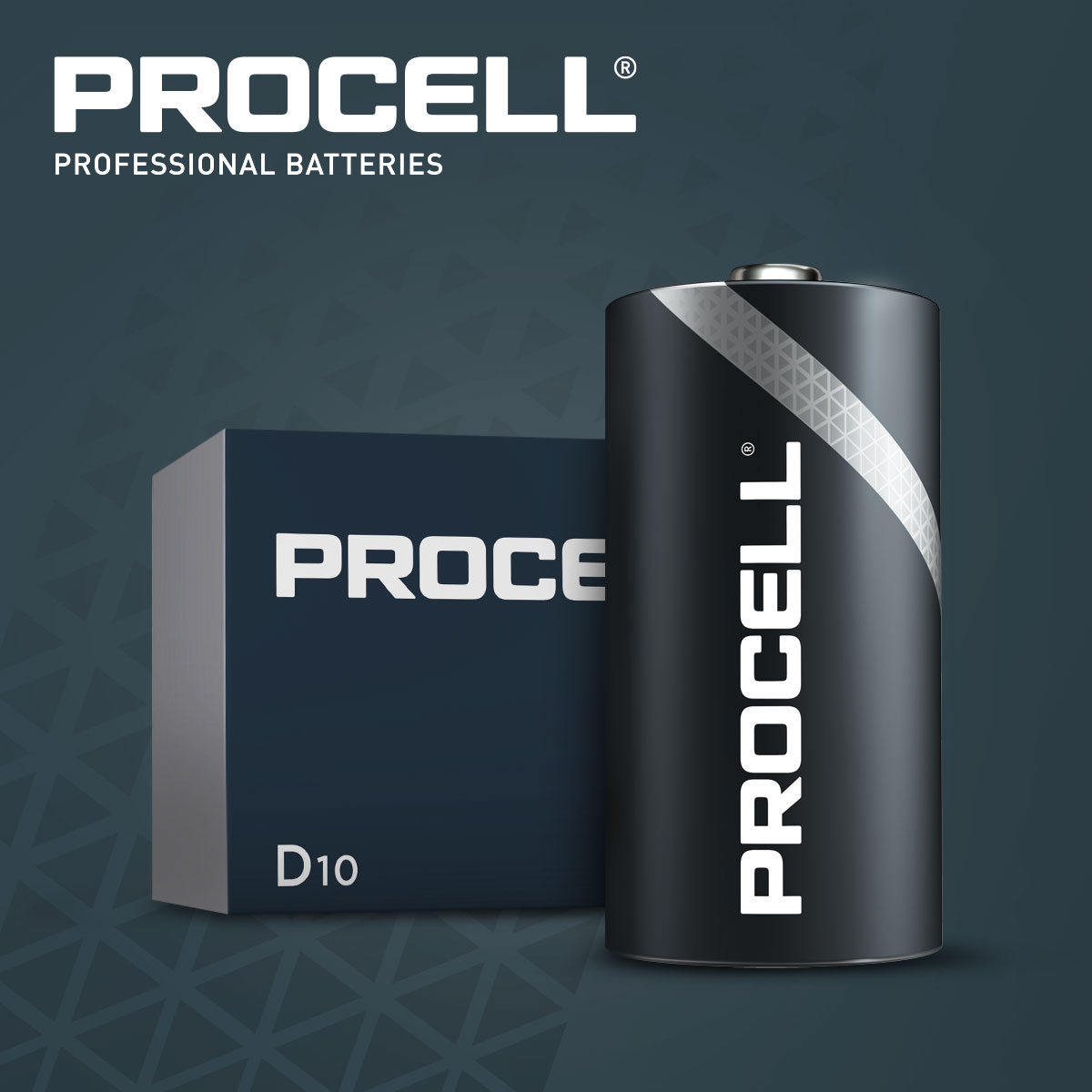 Procell Alkaline D, 1.5V Batteries (Pack of 10) - Ehub Distribution