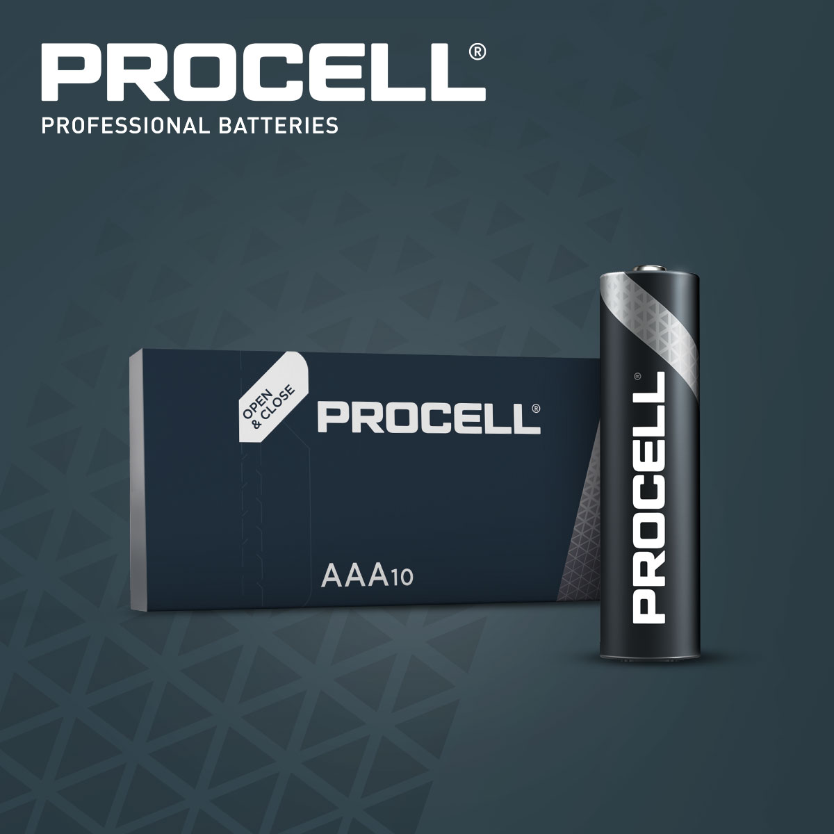 Procell Alkaline AAA, 1.5V Batteries (Pack of 10) - Ehub Distribution